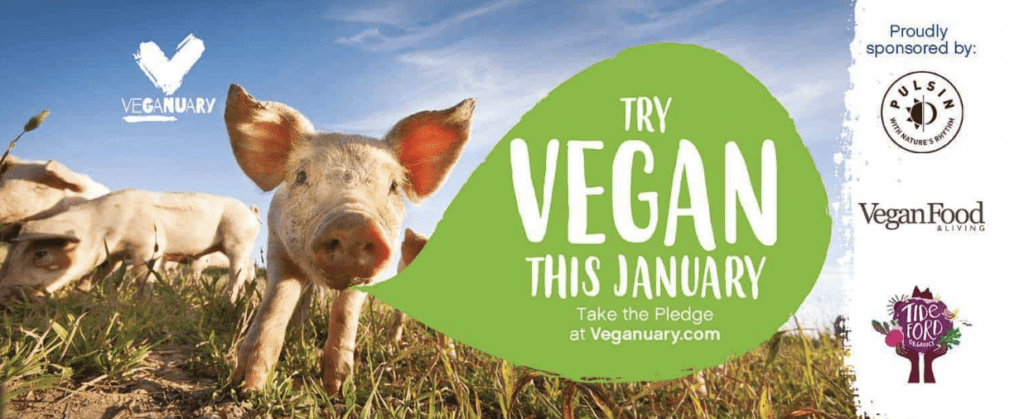 The Plant-Based Revolution is Transforming the Food Industry. | Kadence